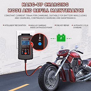 zipelo Car Battery Charger, 6V 12V Automatic Smart Trickle Battery Charger, Intelligent Pulse Repair Charger with ASE Adapter Cable, Battery Desulfator for Motorcycle Lawn Mower Marine