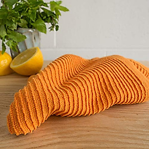 Now Designs Ripple Kitchen Dishcloth, Set of 4, Kumquat Orange