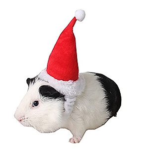 Balacoo Hats Dragon Holiday Hamster Year New Costume Santa Bearded Merry Plush Caps Grooming Winter Xmas Outfits Christmas Hair Cap Red Squirrel Chinchilla Hat Hedgehog Guinea-Pig