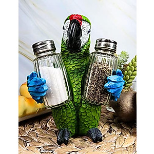 Set Of 1 Tropical Military Macaw Parrot Salt Pepper Shakers