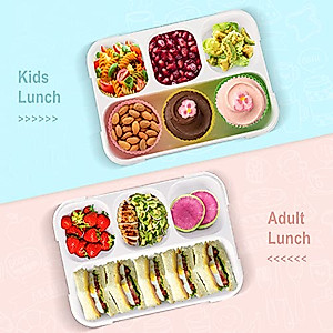 Bento Lunch Box for Kids, 4 Compartment Kids Lunch Box Leak Proof, Cute Bento Snack Box for Adults and Kids With Utensils, Lunch Containers BPA-Free, Microwave Bento Box (Green)