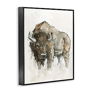 Stupell Industries Western American Buffalo Brown Country Animal, 24.00" x 30.00", Black Framed