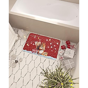 Christmas Bath Rugs Squirrel Xmas Ball Branch Sponge Doormat Absorbent Non Slip Backing Durable Soft Flannel Mat Snowflake Snow Red Christmas Memory Foam Mats Carpet for Bathroom Kitchen, 18 x 30 inch