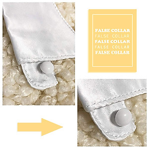 Gracelife Unique Style False Collar Peter Pan Blouse Detachable Choker Necklace Faux Collar (White 15)