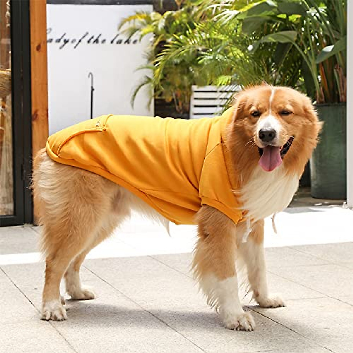 Dog Hoodie 2 Pieces Dog Hoodie Sweater with Hat and Pocket Warm and Soft Dog Sweaters for Small Medium Dogs Winter Pet Dog Puppy Hoodies Sweatshirt Cold Weather Dog Coat Clothes for Boys or Girls