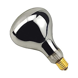 BONGBADA Heat Lamp Bulb R40 250 Watt 2 Pack Clear Infrared Glass Lamp Bulb for Food Service, Brooder Bulb, Chicks, Pet, Bathroom (Clear, R40/250W)