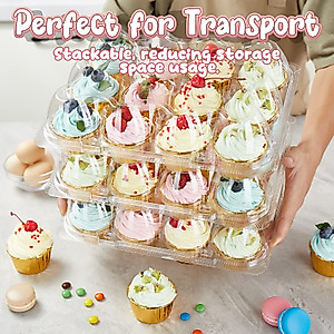 (12 Pack x 20 Sets) Gencywe Stackable Cupcake Carrier with 240 Pack Cupcake Liners, Plastic Cupcake Boxes Holders for 12 Cupcakes, High Tall Dome Lid Cupcake Containers, Clear Disposable Cupcake Trays