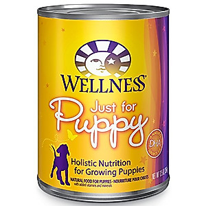 Wellness Complete Health Natural Wet Canned Puppy Food, Puppy Chicken & Salmon 12.5-Ounce Can (Pack of 12)
