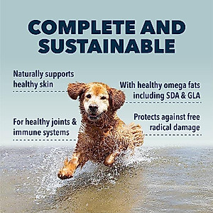 Four Leaf Rover: Safe-Sea Premium Fatty Acids - Omega-3 for Dogs - New Zealand Green-Lipped Mussel Oil for Joint Support - 11 to 45 Day Supply, Depending on Dog’s Weight - Vet Formulated