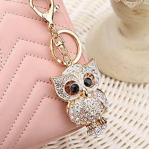 AMNGYOOK Owl Keychains, Cute Owl Shape Key Chain Crystal Rhinestone Animal Key Ring For Bag Wallet Purse Handbags Cars Key (Blue)