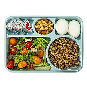 carrotez Portion Control Plate, Microwave Food Storage Tray, 5 Compartment Divided Plate with Lid, Top Rack Dishwasher Safe, BPA Free