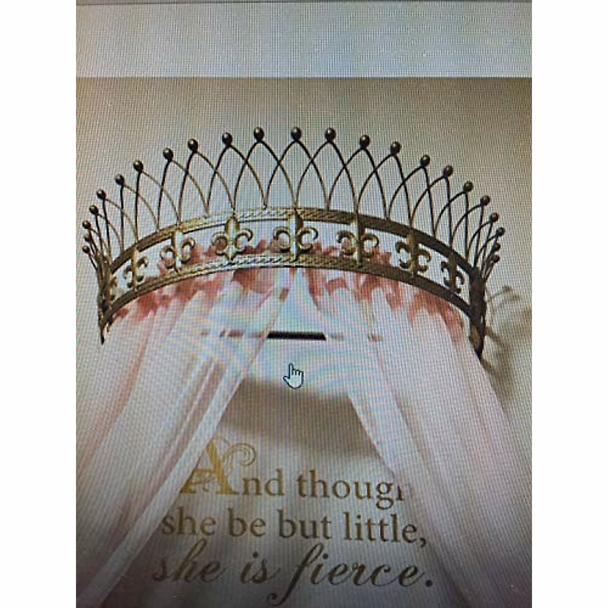 Octorose Metal Wall Teester Bed Crown Canopy - Antique Style Crown Wall Decor with Built-in Rods & Hardware - for Over Beds or Windows - Drapery Panels Not Included - Gold (31.5x14x9.5 Inches)