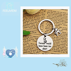 FEELMEM Cat Memorial Keychain Forever Would Have Been Too Short Paw Print Keychain Loss of Pet In Loving Memory of Cat Jewelry Gift for Cat Lover (Silver)