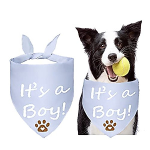 Waghaw Gender Reveal Dog Bandana, It's A Girl It's A Boy Dog Bandana Gender Reveal Bandana for Small Medium Large (Small (Pack of 1), Blue)