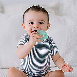 Itzy Ritzy Water-Filled Teethers; Set of 3 Coordinating Cactus Water Teethers; Cutie Coolers are Textured On Both Sides to Massage Sore Gums; Can Be Chilled in Refrigerator; Set of 3 Green Cacti