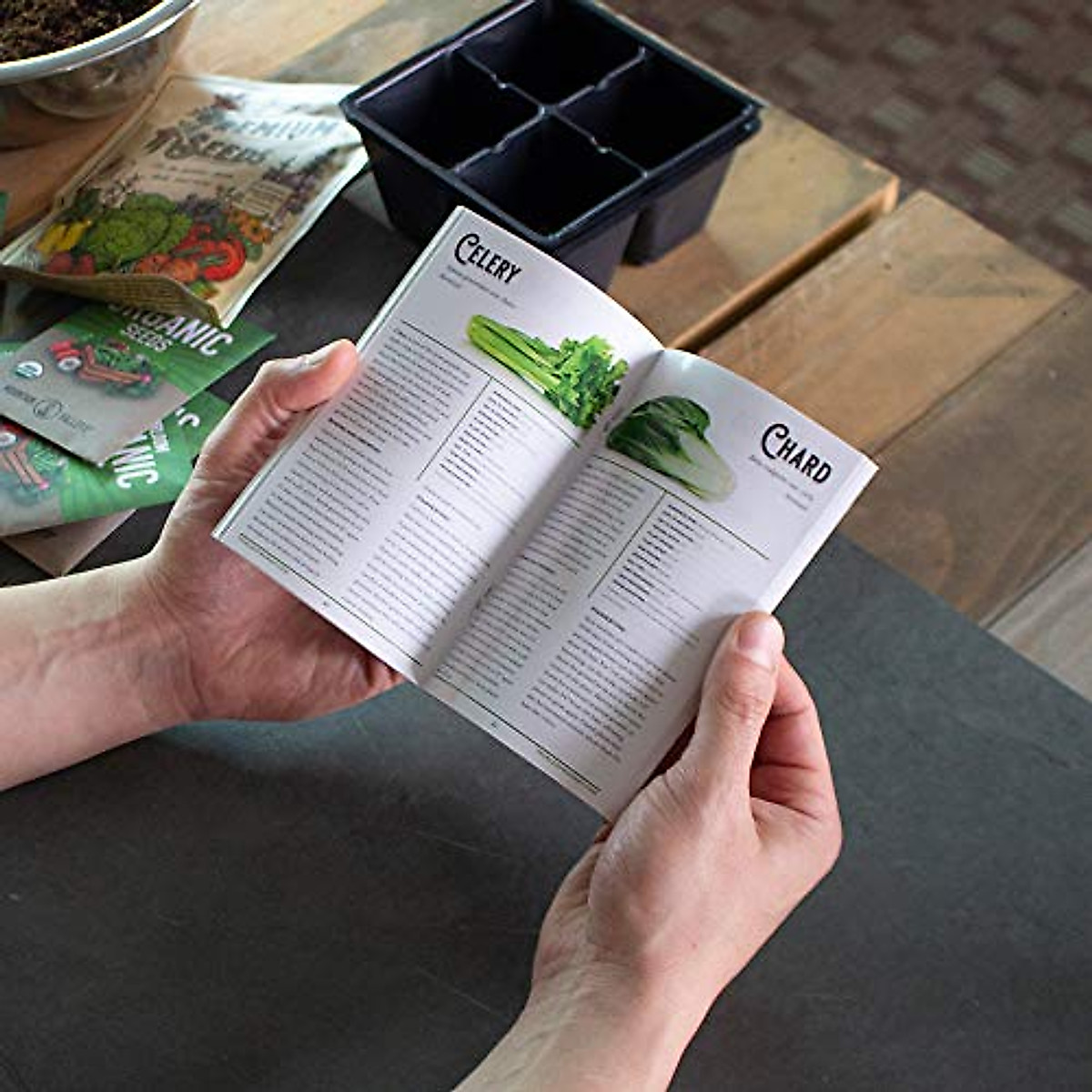 Grannys Garden Heirloom Vegetable Seed Collection - 15 Varieties Non-GMO Heirloom Beet Carrot Cucumber Basil Kale Lettuce Melon Onion Pea Pepper Squash and Tomato Seeds by Sustainable Seed Company