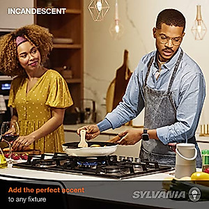 SYLVANIA Double Life Incandescent Light Bulb, B10, 40W, Dimmable, Candelabra Base, 285 Lumens, Frosted - 6 Count (Pack of 1) (15323)