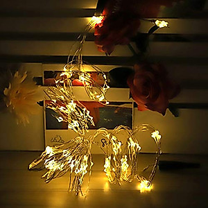 Talany Outdoor Solar String Lights, Indoor/Outdoor Solar Christmas String Lights Solar Light String Warm White Garden Stake Lights for Home Garden for Christmas Party