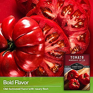 Survival Garden Seeds - Mortgage Lifter Tomato Seed for Planting - Pack with Instructions to Plant and Grow Huge Delicious Tomatoes in Your Home Vegetable Garden - Non-GMO Heirloom Variety or Planting