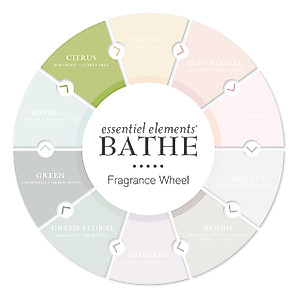 Gilchrist & Soames Bathe Conditioner- 1 Gallon - Moisturizing for all Hair Types, Zero Parabens, Sulfates, and Phthalates