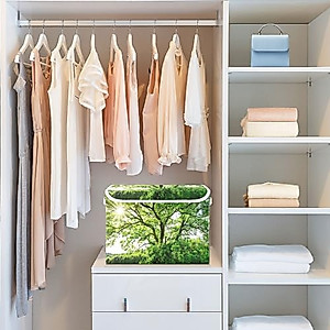 DIGTIA Storage Bins with Lids Majestic Green Tree Foldable Storage Boxes with Handles Sun Shines Large Storage Basket Collapsible Organizer Containers for Closet Home Bedroom Office