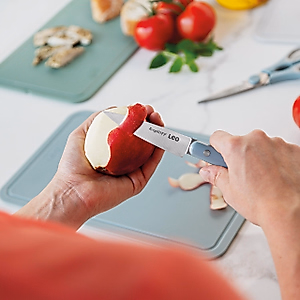 Berghoff Slate Paring Knife 3.5", Stainless Steel Sharp Blade, Ergonomically Designed Handle, Multifunctional, Well Balanced