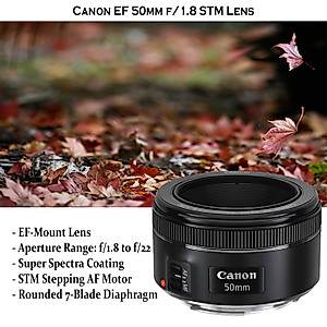 Canon EOS Rebel SL3 DSLR Camera with Canon EF-S 18-55mm f/4-5.6 is STM Lens + EF 75-300mm f/4-5.6 III Lens + EF 50mm f/1.8 STM Lens + 32GB Sandisk Memory + Pro Slave Flash + Holiday Special Bundle