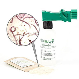 BioLogic's Scanmask Beneficial Nematodes, Steinernema feltiae Sf Nematodes for Natural Insect Pest Control (10 Million)