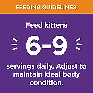 IAMS PERFECT PORTIONS Healthy Kitten Grain Free* Wet Cat Food Cuts in Gravy, Chicken Recipe, (24) 2.6 oz. Easy Peel Twin-Pack Trays
