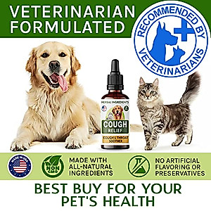 Kennel Cough Herbal Drops for Dogs & Cats - Cough Relief - Throat Soother - Homeopathic Respiratory Support - Dry, Wet Pet Cough and Cat Asthma, Sinus Congestion Treatment - Made in US - 2 Fl Oz