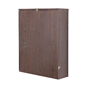 Basicwise Wall Mount Laptop Fold-Out Desk with Shelves, Brown,