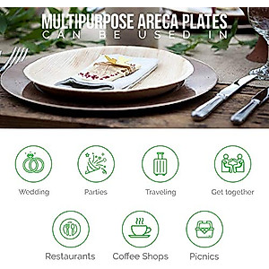 Dtocs Palm Leaf Plates Pack 50, 7 Inch Square | Eco-friendly, Compostable, Natural, Biobased, Organic Disposable Party Plates For Wedding, Camping, Birthday Dinner | Better Than Bamboo, Paper Plates.