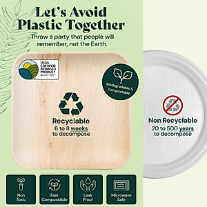 Chic Leaf Compostable & Biodegradable Palm Leaf Disposable Bamboo Plates - Disposable Party Plates for Appetizers (1, 7'' (Pack of 50))