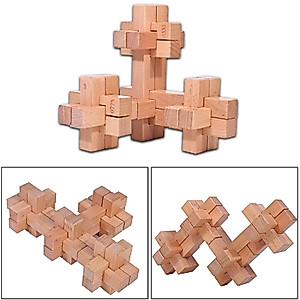 Onietoiy Difficult 20pcs DIY Wooden Brain Teaser Puzzle Toy 9 Types Assembly Building Blcok Games 94 Methods Challenge IQ Lock Toys 3D Brainteaser Educational Puzzles Unique Gift for Kids and Adults