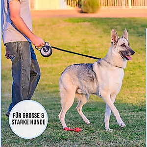 Alcott Kong Ultimate Retractable Dog Leash, Extra Large, Grey, 16' Long