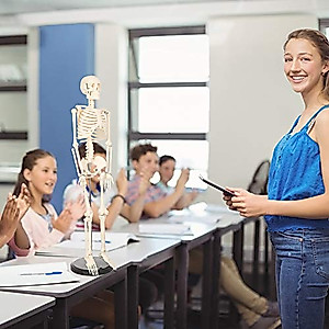 Human Skeleton Model for Anatomy Mini Human Skeleton Model with Metal Stand - 33.4 Inches Tall with Removable Arms and Legs Scientific Study Painted and Numbered Muscle Insertion and Origin Points