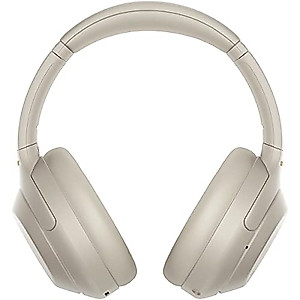 Sony WH-1000XM4 Wireless Premium Noise Canceling Overhead Headphones with Mic for Phone-Call and Alexa Voice Control, Silver WH1000XM4 Bundle with Green Extreme Wireless Portable Charger