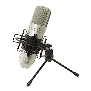 Tascam TM-80 Large Diaphagm Condenser Microphone,Silver