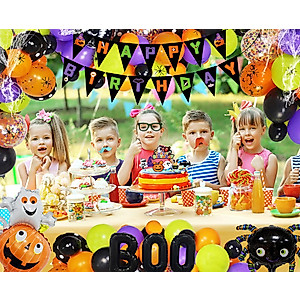 Halloween Birthday Party Decorations Halloween Themed Birthday Party Decorations with Halloween Birthday Banner Halloween Birthday Cake Topper for Kids Halloween First Birthday Decorations Halloween