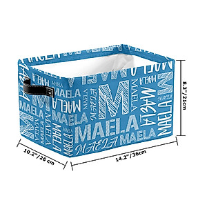 ZAACUSTOM Foldable Personalized Toy Box for Boys Girls with Name Waterproof Kids Custom Storage Bin Baskets Cube Boxes Organizer with Handles for Organizing Shelf Closet, 1 Pack