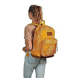 JanSport Right Pack Expressions Backpack - School, Work, Travel, or Laptop Bookbag with Water Bottle Pocket, Patchwork Prairie