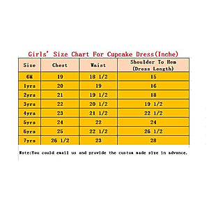 M_RAC Infant Girls' Flowers Mini Gowns Tutu Pageant Cupcake Dresses 6M