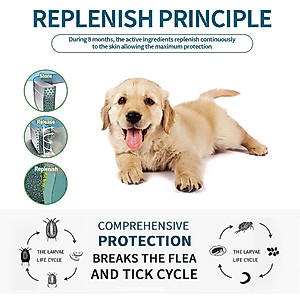 Advanllent Flea Collar for Dogs, Flea and Tick Collars for Small Dogs, 15.5inch, 8 Month Protection (1 Pack), Gray