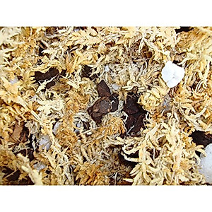 rePotme Orchid Potting Mix - Phalaenopsis AAA Gold Imperial Orchid Mix (Mini Bag) - Premier Orchid Potting Mix with Orchid Moss and Orchid Bark