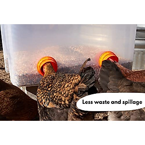 Roosty's® Rat Proof Chicken Feeder Kit - Rodent Proof Chicken Feeder with SmartStopper Caps - Chicken Feeders No Waste Rodent Proof, Poultry Feeder, Chicken Feeder Port - No Waste Chicken Feeder