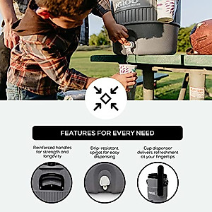 Igloo 5 Gallon Portable Sports Cooler Water Beverage Dispenser with Flat Seat Lid, Gray, 4 Qt