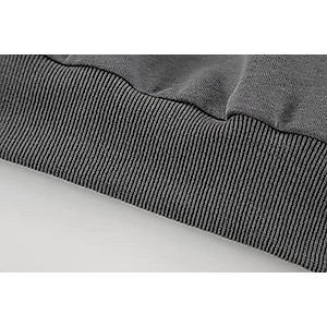 Aelfric Eden Y2k Hoodie Graphic Hoodies Oversized Cool Hoodies Streetwear Vintage Couples Hoodies