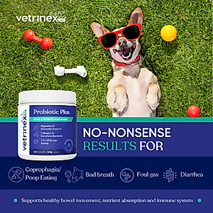 Vetrinex Labs Coprophagia Poop Eating Deterrent & Prevention, Stop & Prevent Stool Eating Treatment - Probiotics for Dogs, Cats and Puppies - Forbids Dog from Eating Poop - Probiotic Powder (120 GMS)