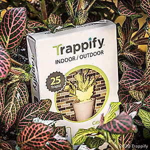 Trappify Sticky Gnat and Fly Traps, Fly Stick Strap & Window Fly Trap for Outdoor and Indoor Home Pest Control - Fly, Gnats, Moths and Other Flying Insects Trap with Extra Sticky Adhesive - 18 Traps