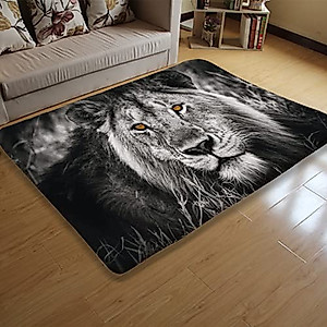 XYHH Area Rug Black and White Gray Lion Head for Living Room Dining Room Bedroom playroom Parent-Child Game mat Study Office Room Decor lz Gray,white 39x60in